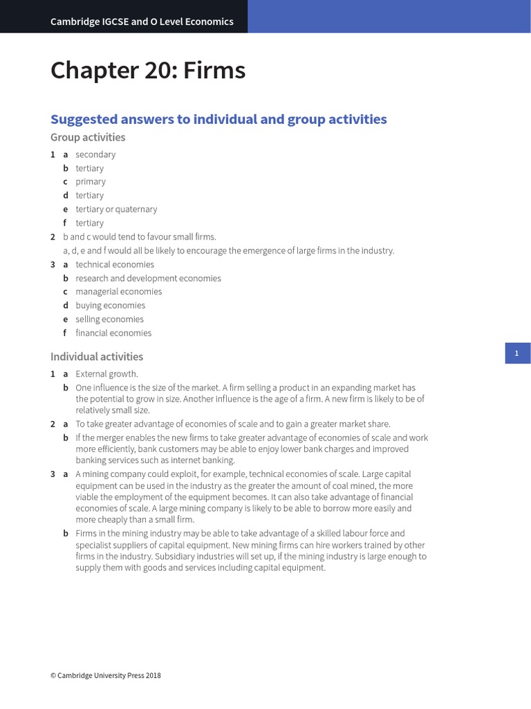 IGCSE Economics Self Assessment Chapter 20 Answers | PDF | Economies Of Scale | Economics