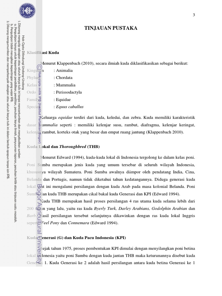 Adoc - Pub Tinjauan Pustaka Klasifikasi Kuda | PDF