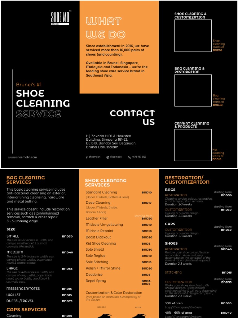 Shoemo Brochure 2 | PDF | Shoe | Consumer Goods
