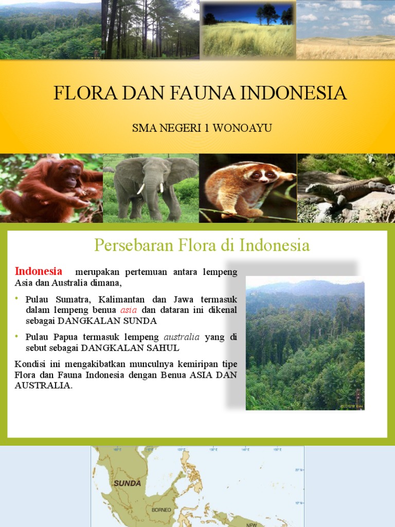 Flora dan Fauna Indonesia SMA | PDF | Griya & Taman