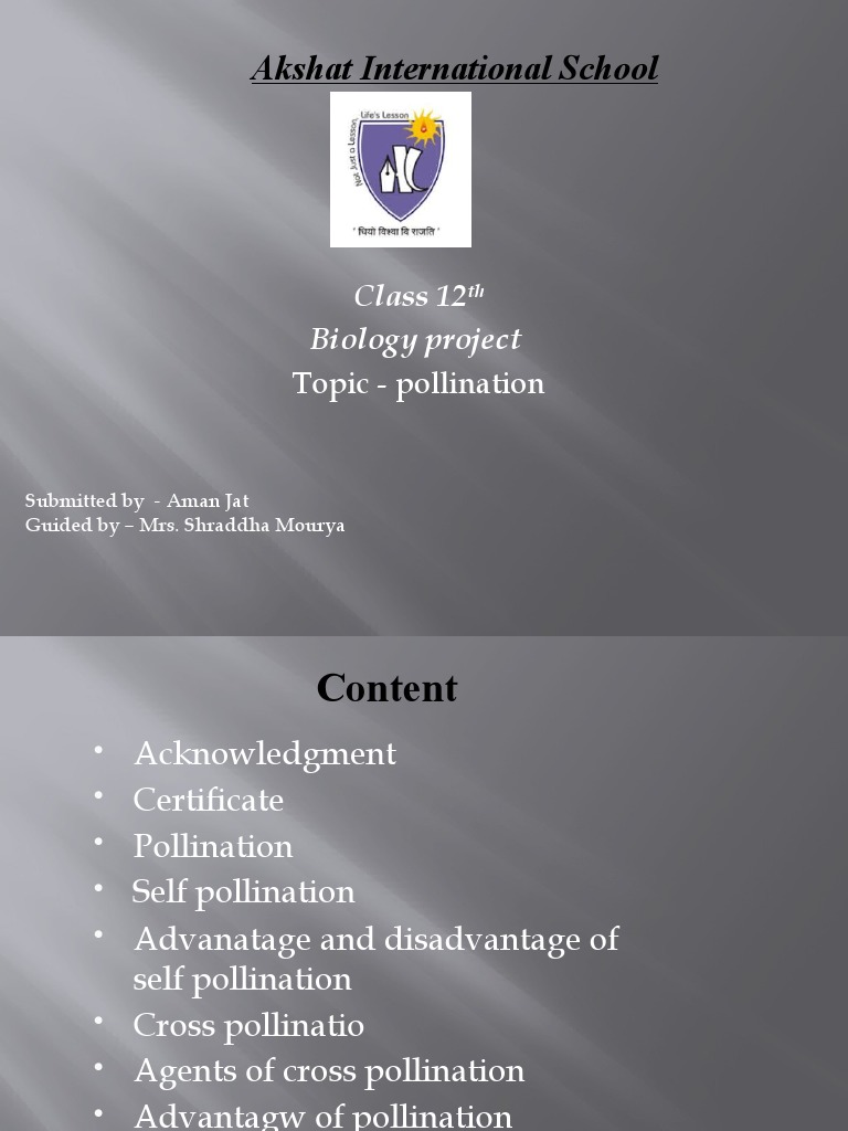 Akshat International School Class 12 Biology Project on Pollination | PDF