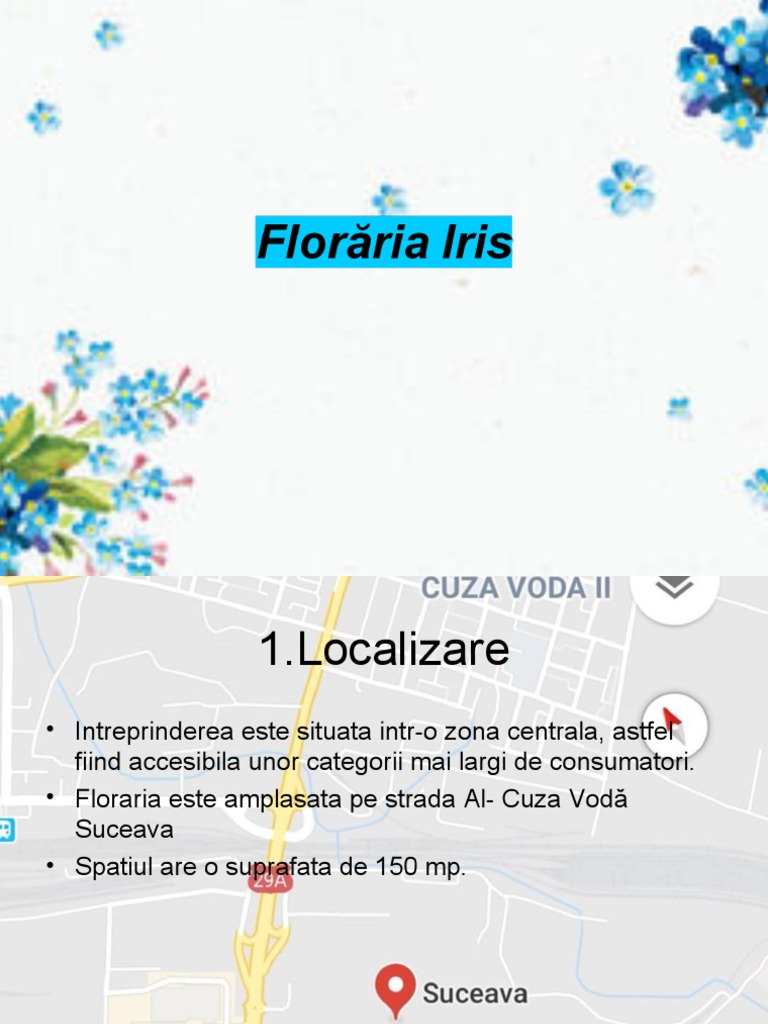 Plan de Afaceri Florarie Iris | PDF