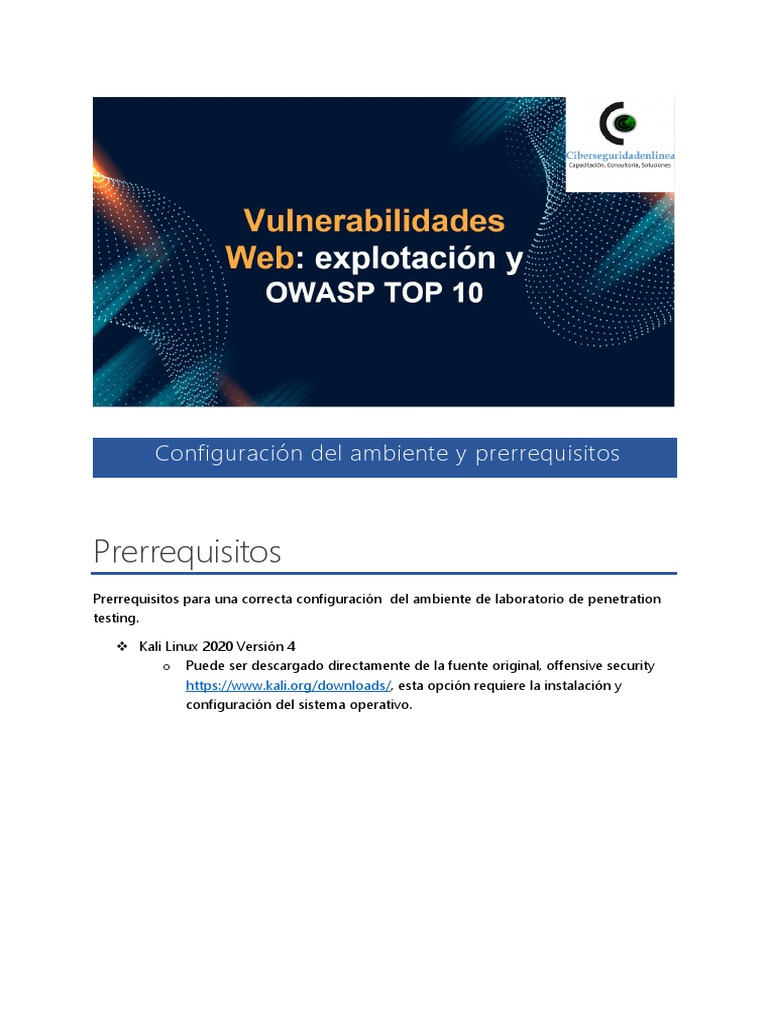 Guia Top 10 OWASP - Vulnerabilidades Web | Descargar gratis PDF | V Mware | Virtualización
