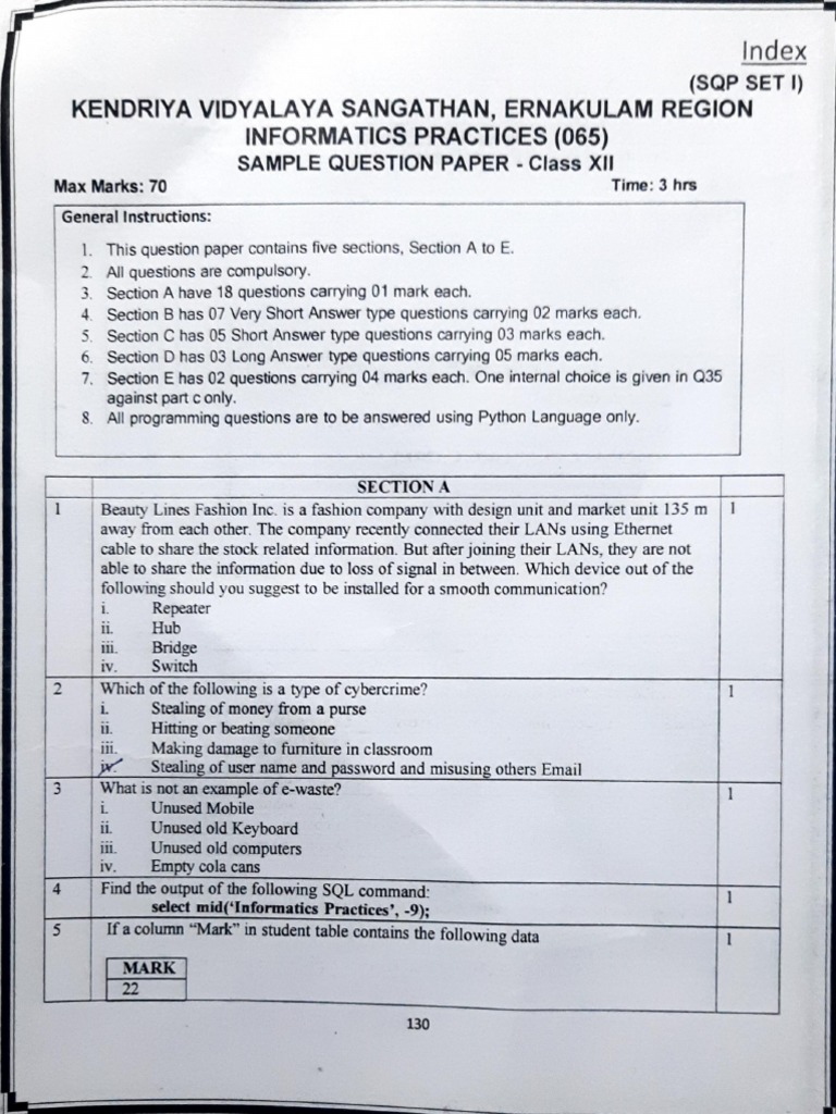IP Sample Paper 1 | PDF