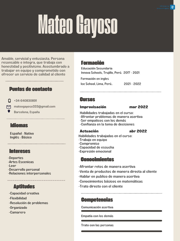 Currículum Mateo | PDF