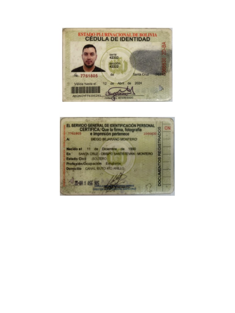 Cédula de Identidad - Diego Bejarano Montero | PDF