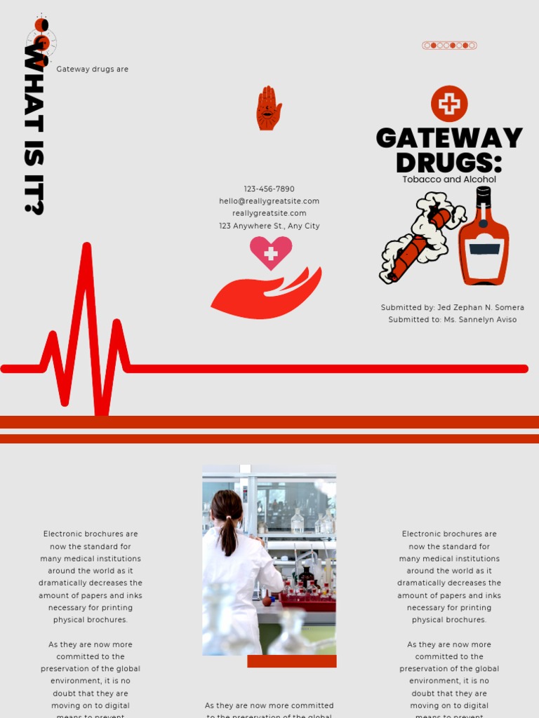 Gateway Drugs Are | PDF