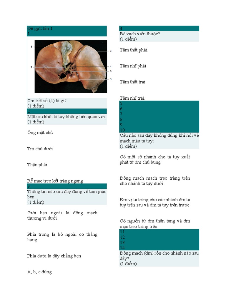 ĐỀ GP2 LẦN 1 Y2020 | PDF