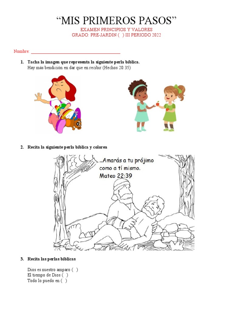 Mis Primeros Pasos | PDF