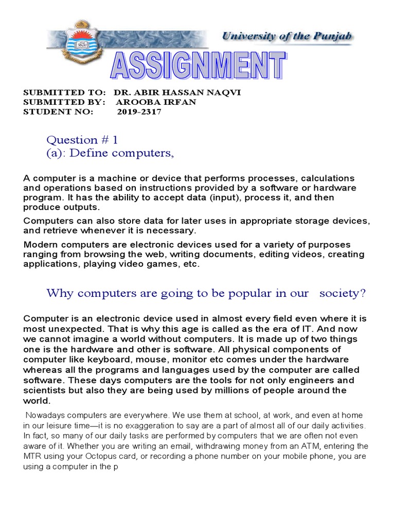 Computer Assignment Undergraduate Level | PDF | Computer Virus | Computer Network