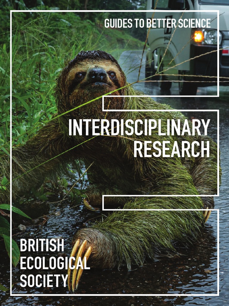 BES Guide To Interdisciplinary Research | Download Free PDF ...