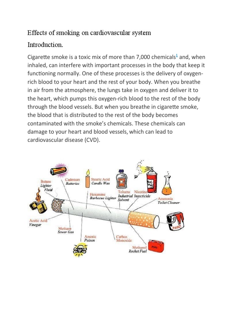 Effects of Smoking On Cardiovascular System | PDF | Blood Vessel | Nicotine