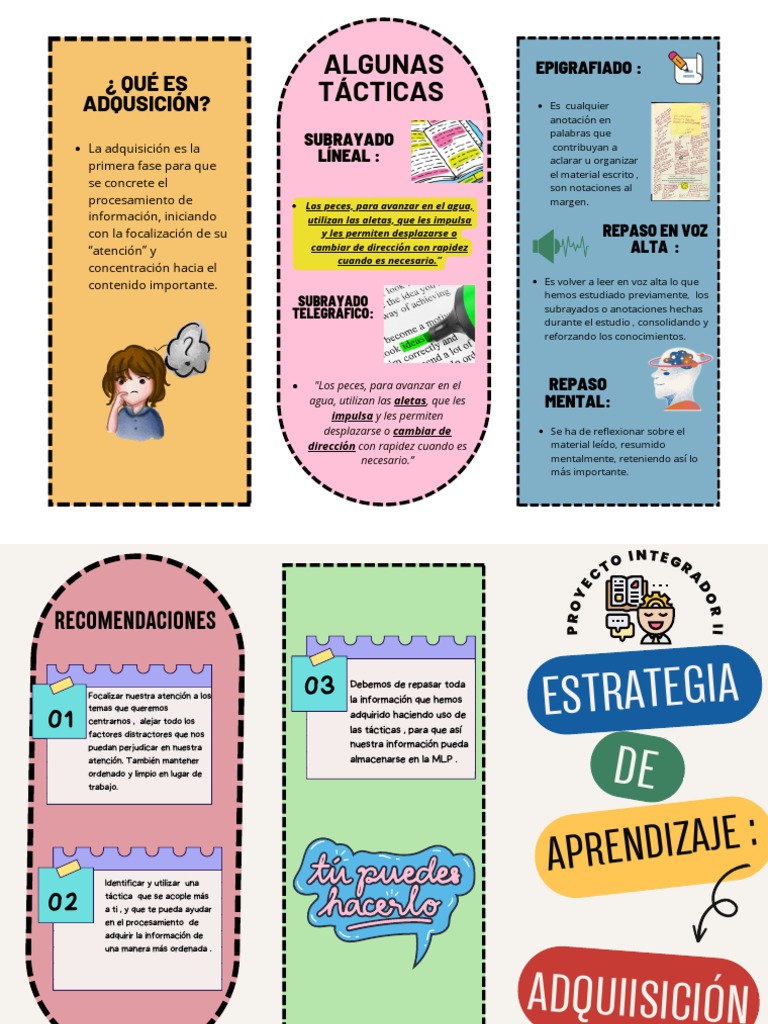 Triptico v2.3 | PDF | Cognición | Ciencia cognitiva