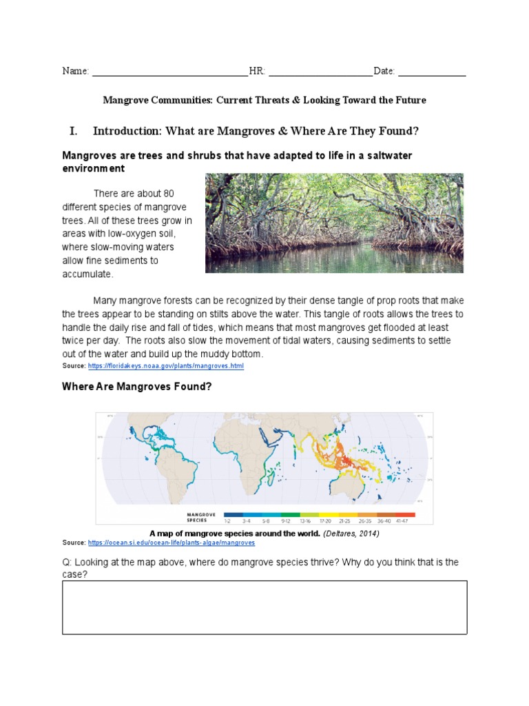 Threats to Mangrove Ecosystems Explained | PDF | Mangrove | Shrimp