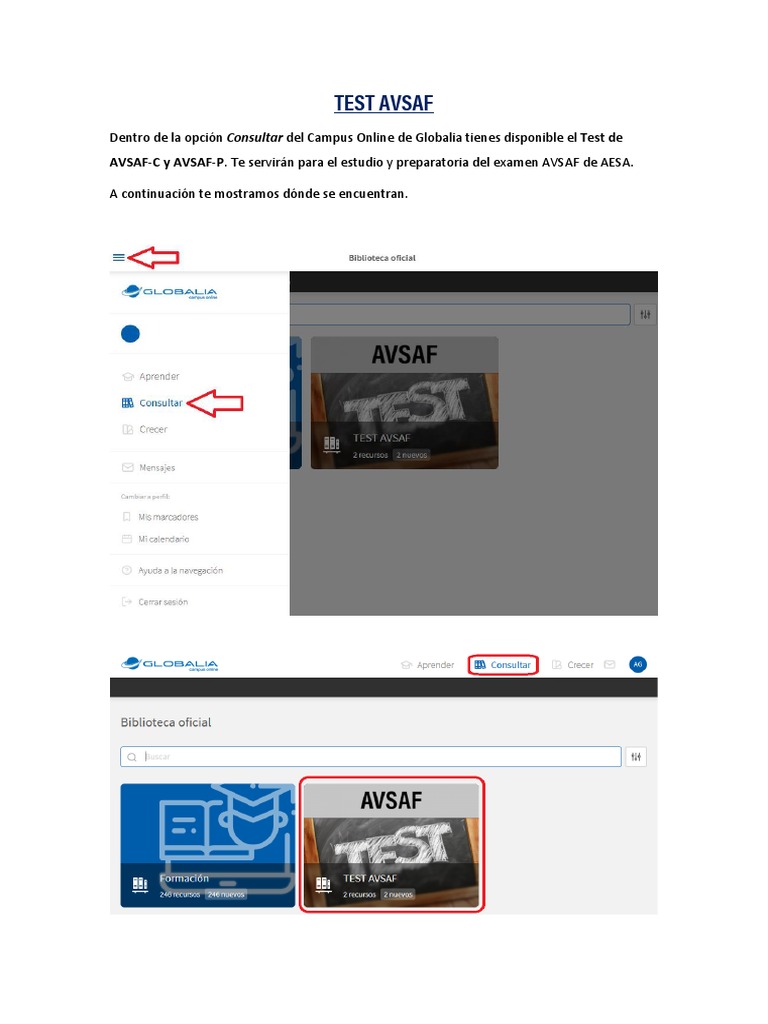 Info-TEST AVSAF | PDF