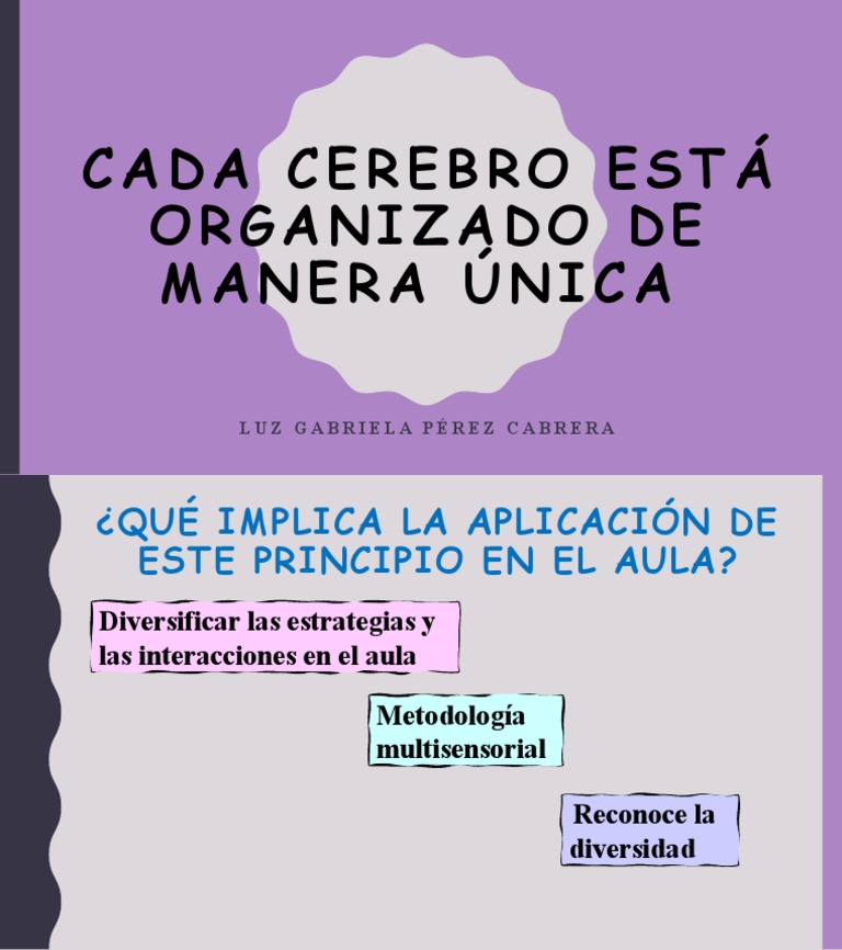 Cada Cerebro Está Organizado de Manera Única | PDF