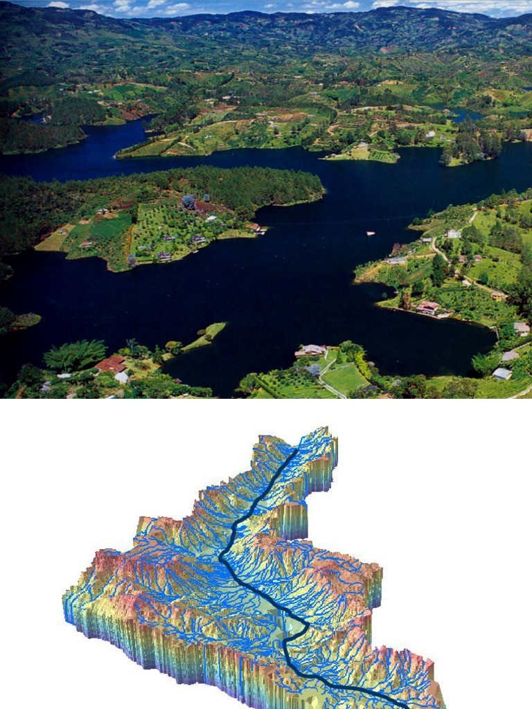 Rodriguez Andres 2005 P | PDF