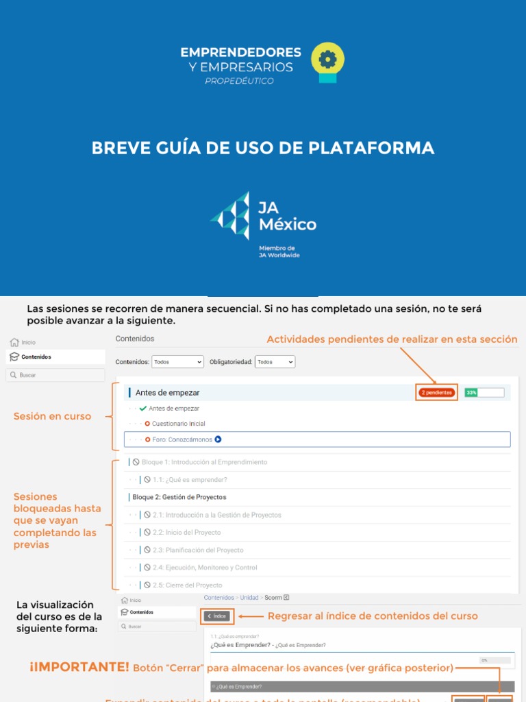 Guia de Uso Plataforma | PDF