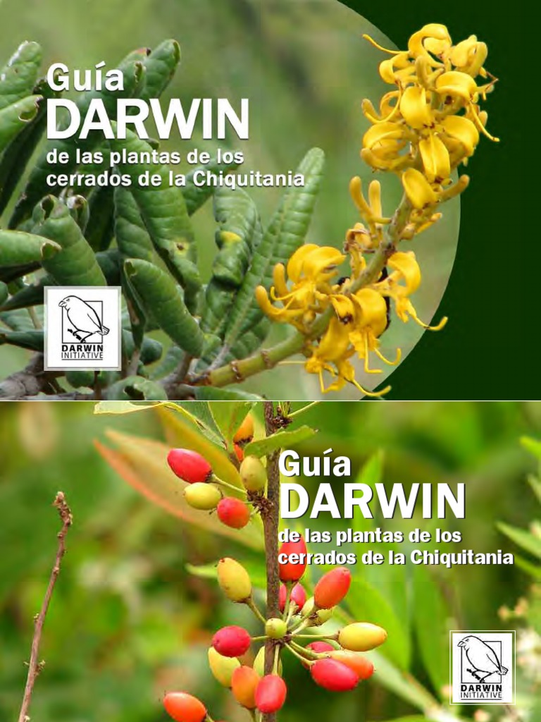 Guia Darwin Plantas Cerrados Chiquitania | PDF | Bolivia | Arboles
