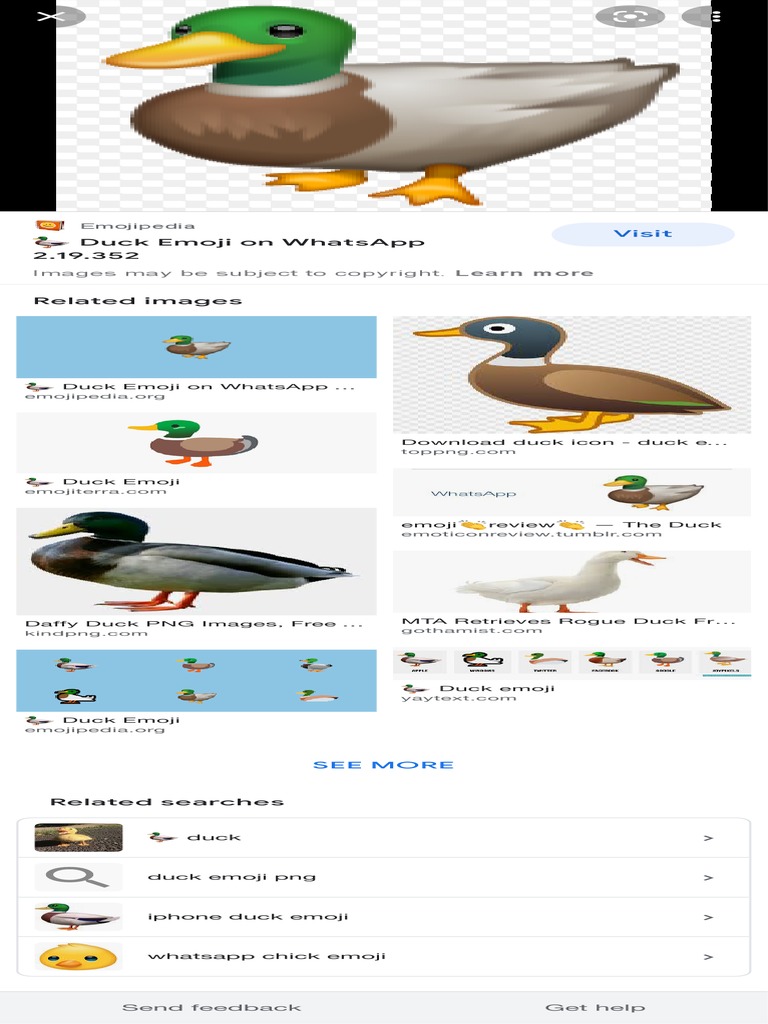 Duck Emoji Usage on WhatsApp | PDF | Games & Activities
