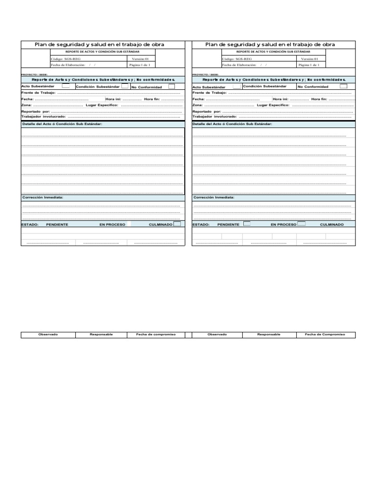 Reporte de Acto y Condicion Sub Estandar | PDF
