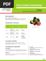 Guide de culture du macabo au Cameroun | PDF | Fertilisant | Maïs