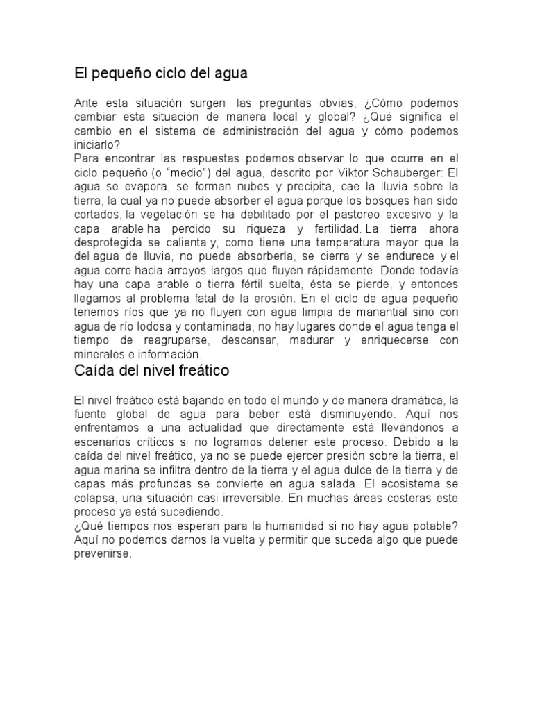 El Pequeño Ciclo Del Agua | PDF