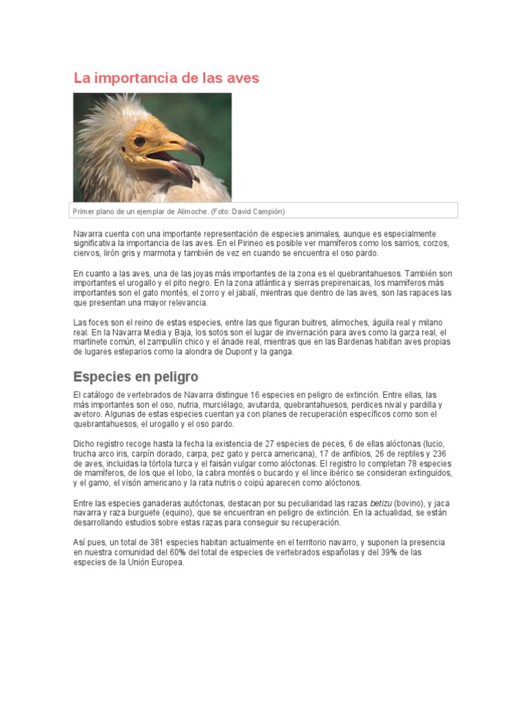 La Importancia de Las Aves | PDF