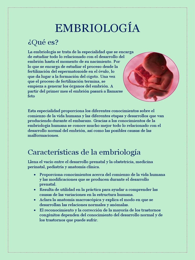 EMBRIOLOGÍA Carpeta | PDF | El embarazo | Embrión