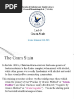 Microbiology Gram Stain Lab Report | PDF | Staining | Histopathology