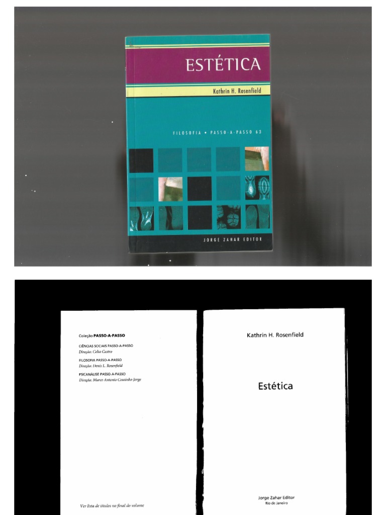 ROSENFIELD, Kathrin. Estética | PDF