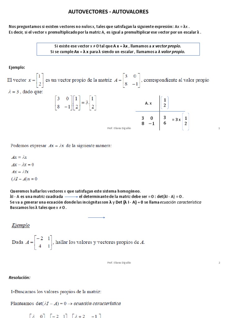 Autovectores Autovalores | PDF | Valores propios y vectores propios | Matriz (Matemáticas)