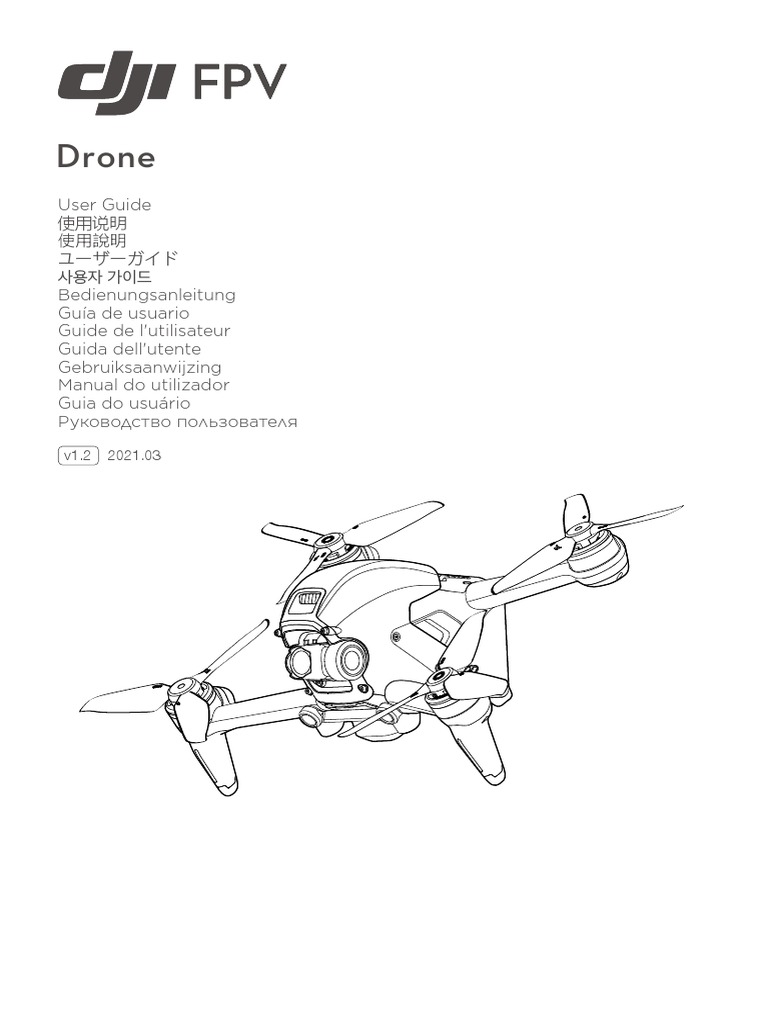 DJI FPV Drone User Guide | PDF