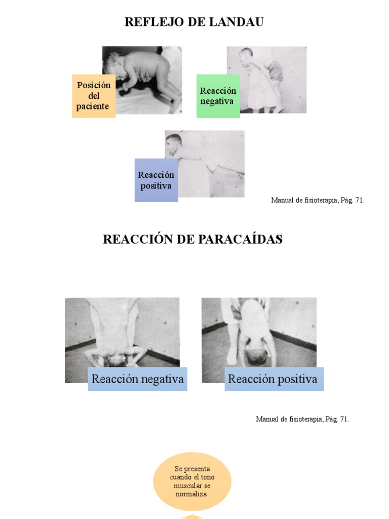 Reflejo de Landau | PDF