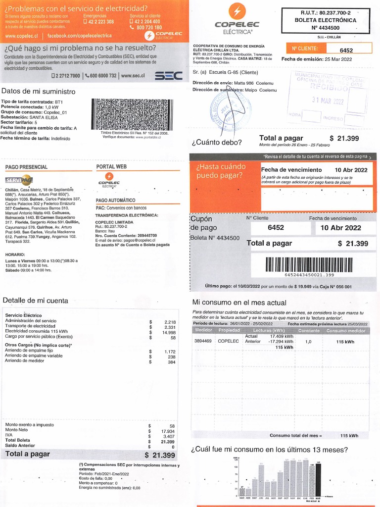BOLETA Copelec | PDF
