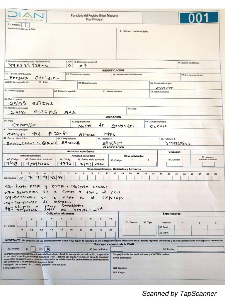 RUT Diligenciado | PDF