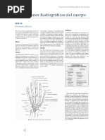 RX de Mano Frente | PDF | Mano | Anatomía