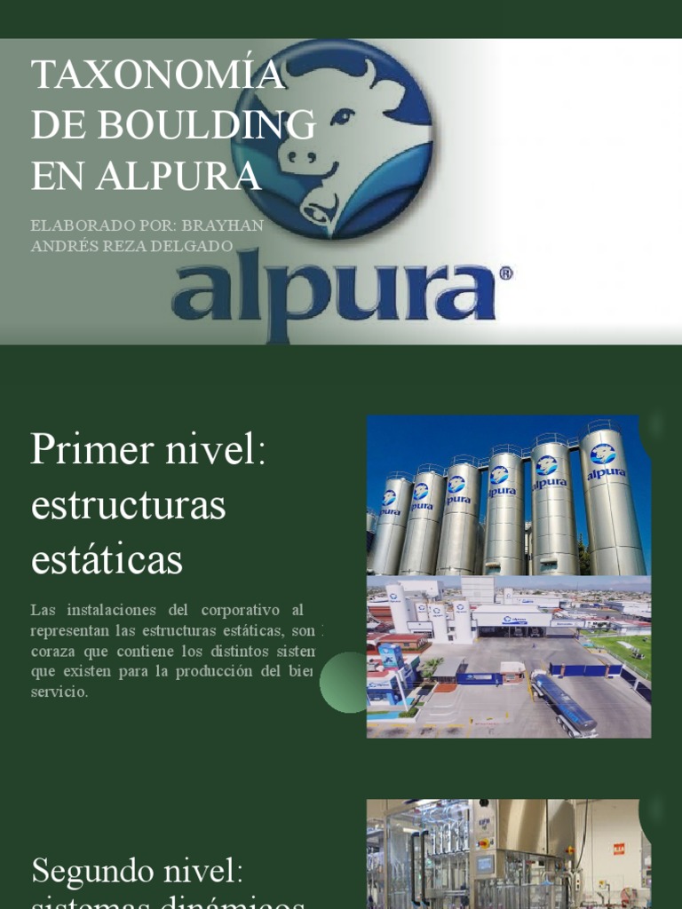 Taxonomía de Boulding en Alpura | PDF | Business | Leche
