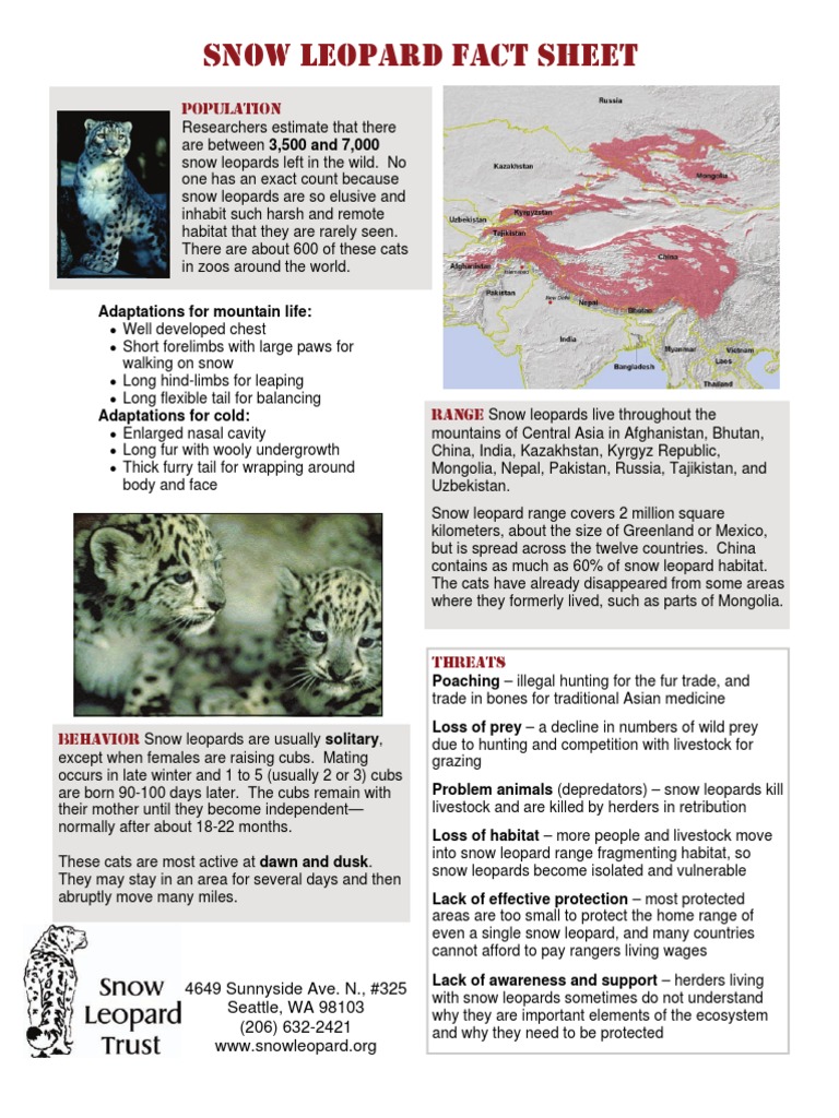 Snow Leopard Fact Sheet | PDF | Leopard | Fauna Of Asia