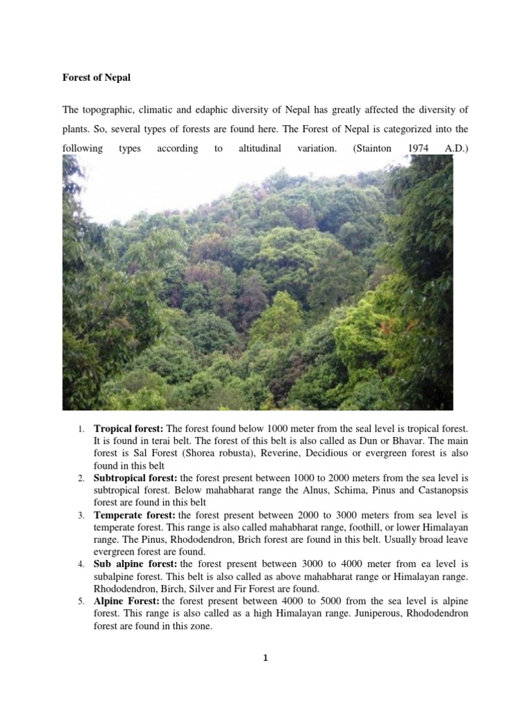 Forest of Nepal | PDF | Forests | Nepal