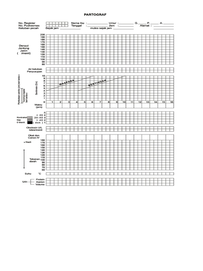 Format Partograff | PDF