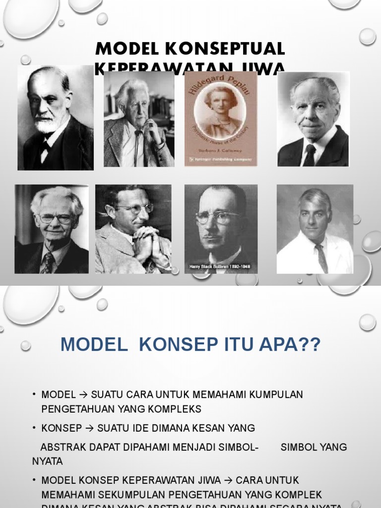 Model Konseptual Keperawatan Jiwa | PDF