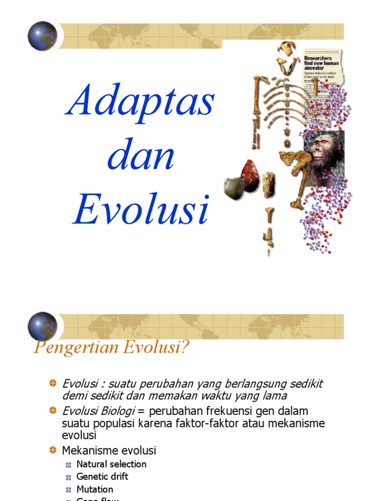 Adaptasi Dan Evolusi | PDF