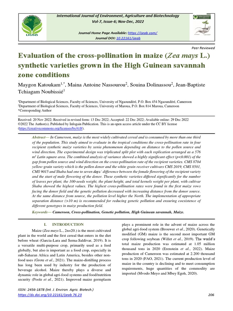 Evaluation of The Cross-Pollination in Maize (Zea Mays L.) Synthetic ...