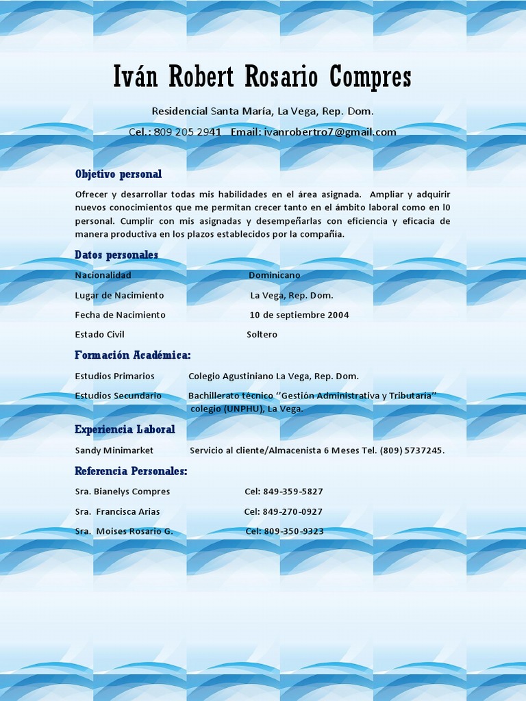 Curriculum Ivan Roberto | PDF