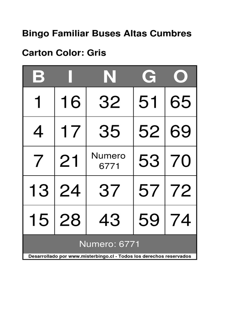 Bingo Familiar: Cartón Gris 6771 | PDF
