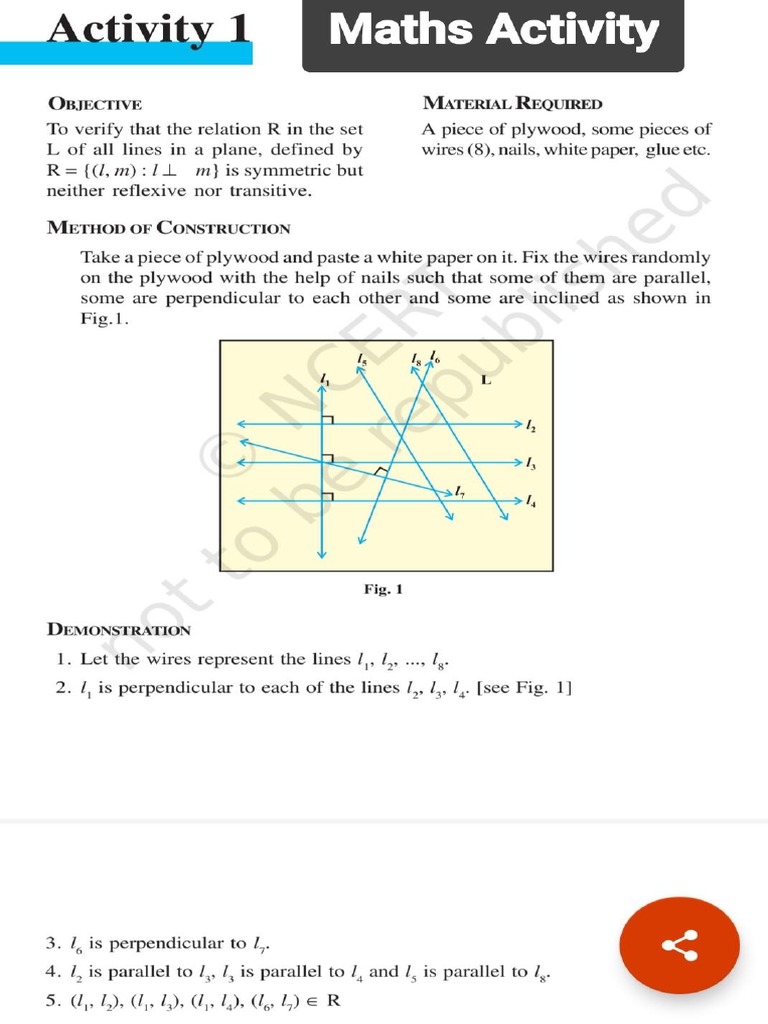 Maths Activity Class XII | PDF