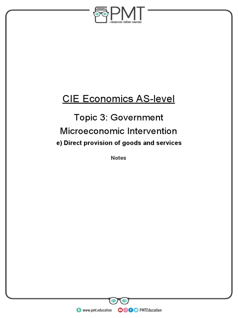 E) Direct Provision of Goods and Services | PDF
