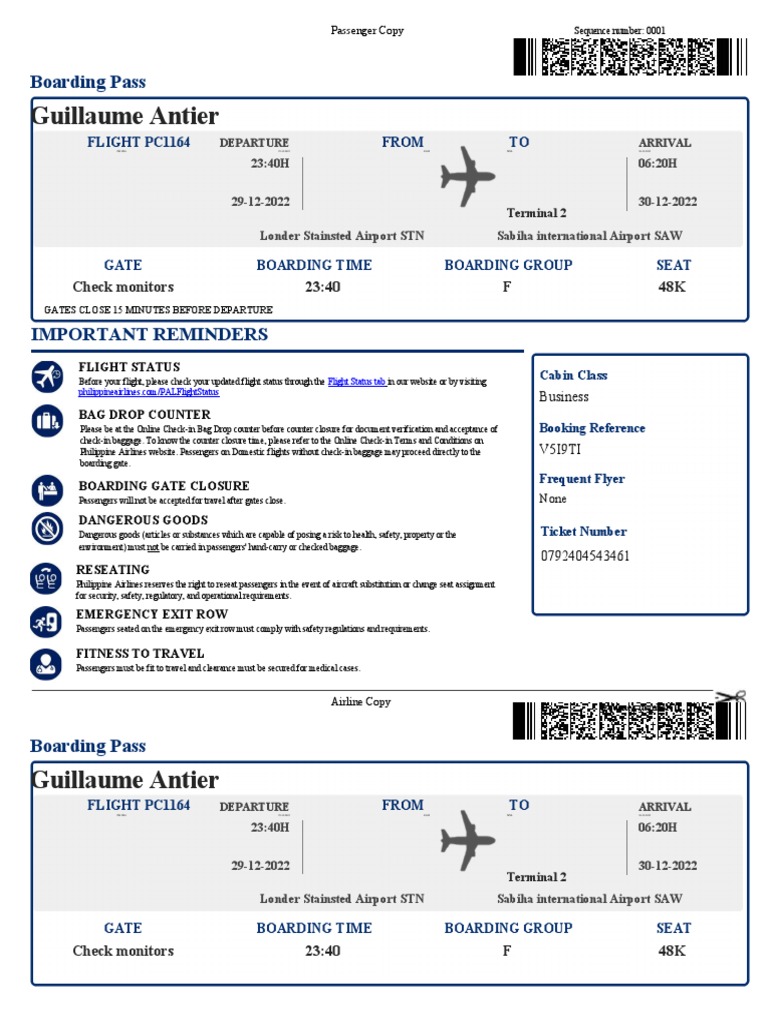 Plane Ticket Template 07 | Download Free PDF | Airlines | Aviation
