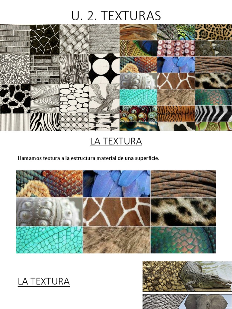 U.2. Texturas | PDF | Escultura | Arte abstracto